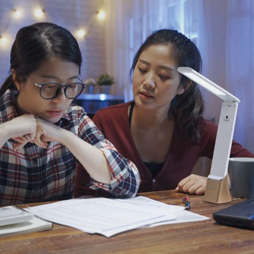 DN1370 Daylight Smart Go Portable LED Lamp | Low Vision Aids